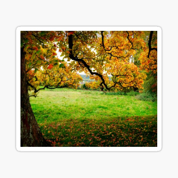 "Changing Seasons" Sticker for Sale by ScenicViewPics | Redbubble