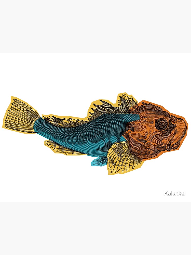 "Fish etching black with blocks of color" Art Print for Sale by ...