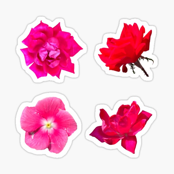 "Pink and Red Flowers Sticker Pack 3" Sticker for Sale by ...