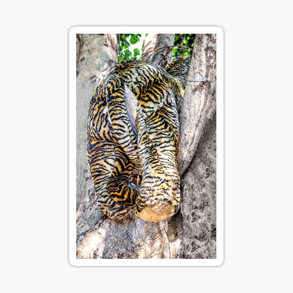 "Stuffed and Stuck" Sticker for Sale by CarolM | Redbubble