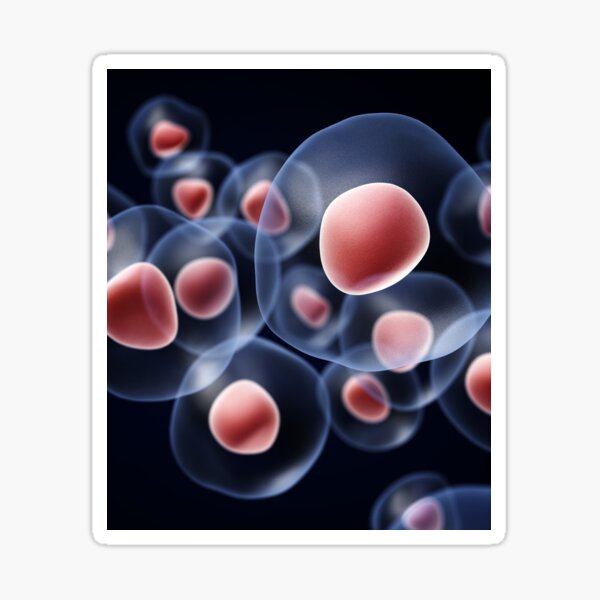"GROUP OF CELLS MICROSCOPIC VIEW COOL PHOTO IMAGE MEDICAL LABORATORY ...