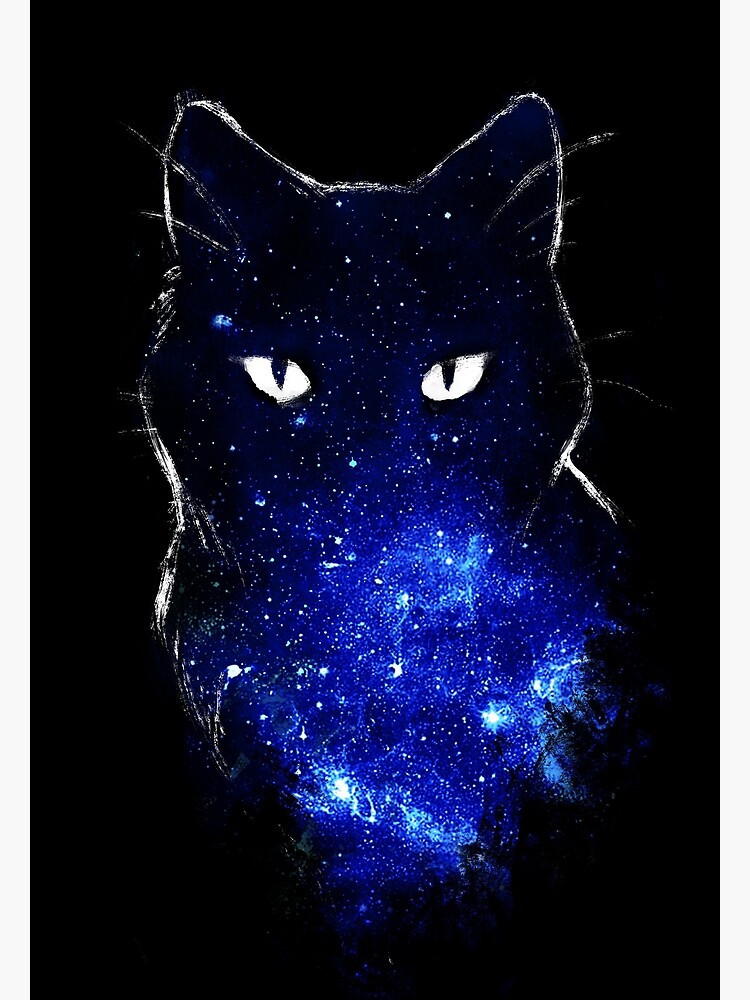 "Star Galaxy Black Cat - Space Constellation - Cute Kitty" Photographic ...