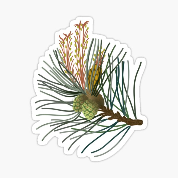 "pine tree" Sticker for Sale by Pacesyte | Redbubble