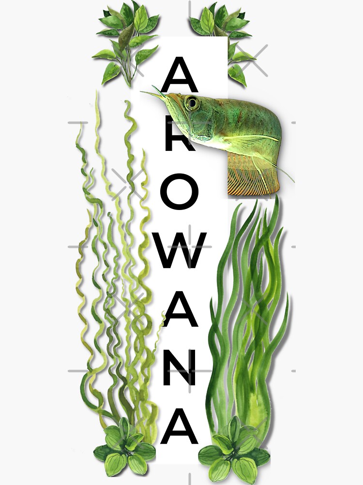 "Arowana Monster Fish Keeper Aquarist" Sticker for Sale by JRRTs ...