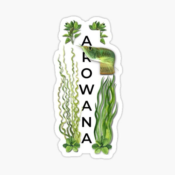 "Arowana Monster Fish Keeper Aquarist" Sticker for Sale by JRRTs ...