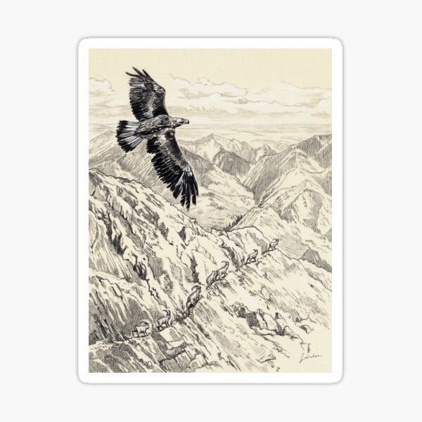 "Flying Golden Eagle" Sticker for Sale by SakalDesign | Redbubble