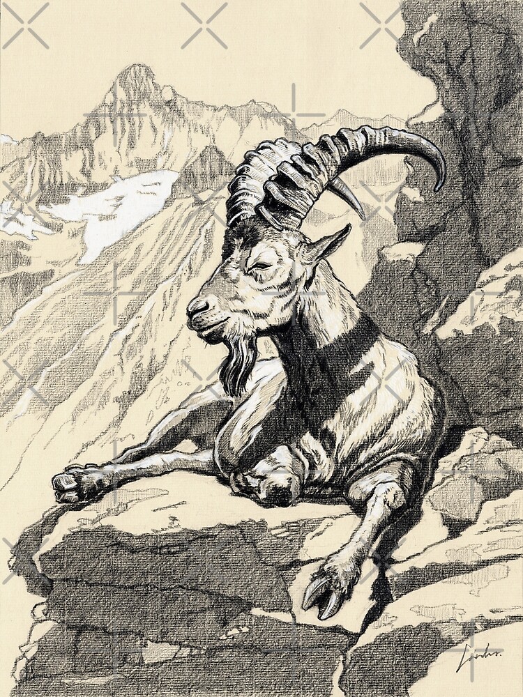 "Kuban Tur capra drawing" Photographic Print for Sale by SakalDesign ...