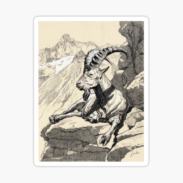 "Kuban Tur capra drawing" Sticker for Sale by SakalDesign | Redbubble