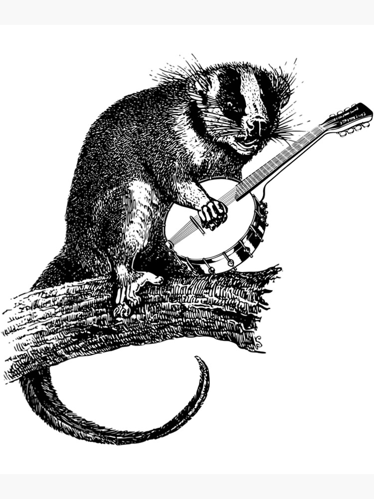 "Opossum playing the banjo - possum" Poster for Sale by JanelAmico ...