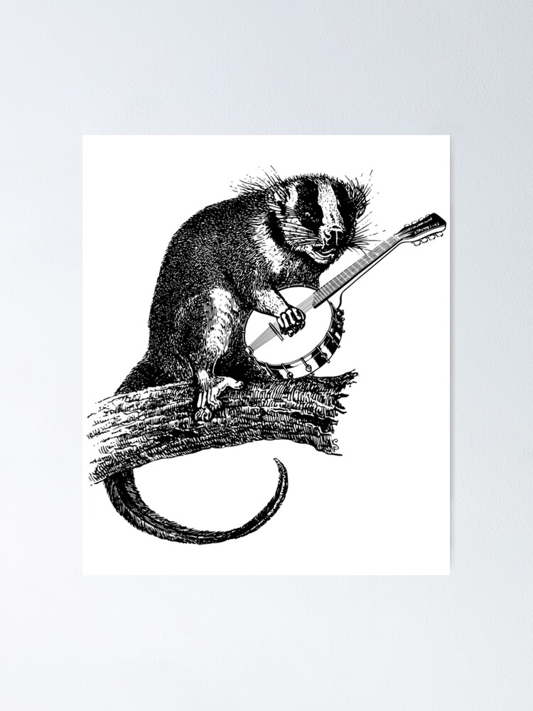 "Opossum playing the banjo - possum" Poster for Sale by JanelAmico ...