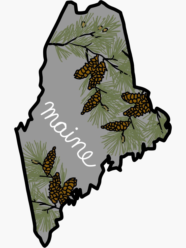 "Maine State Flower" Sticker for Sale by mirandawright10 | Redbubble