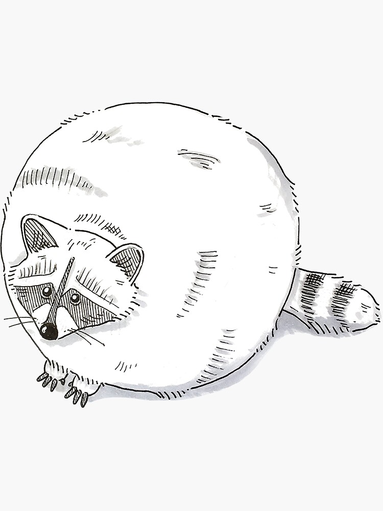 "Fat Raccoon" Sticker for Sale by GarwoodDesigns | Redbubble