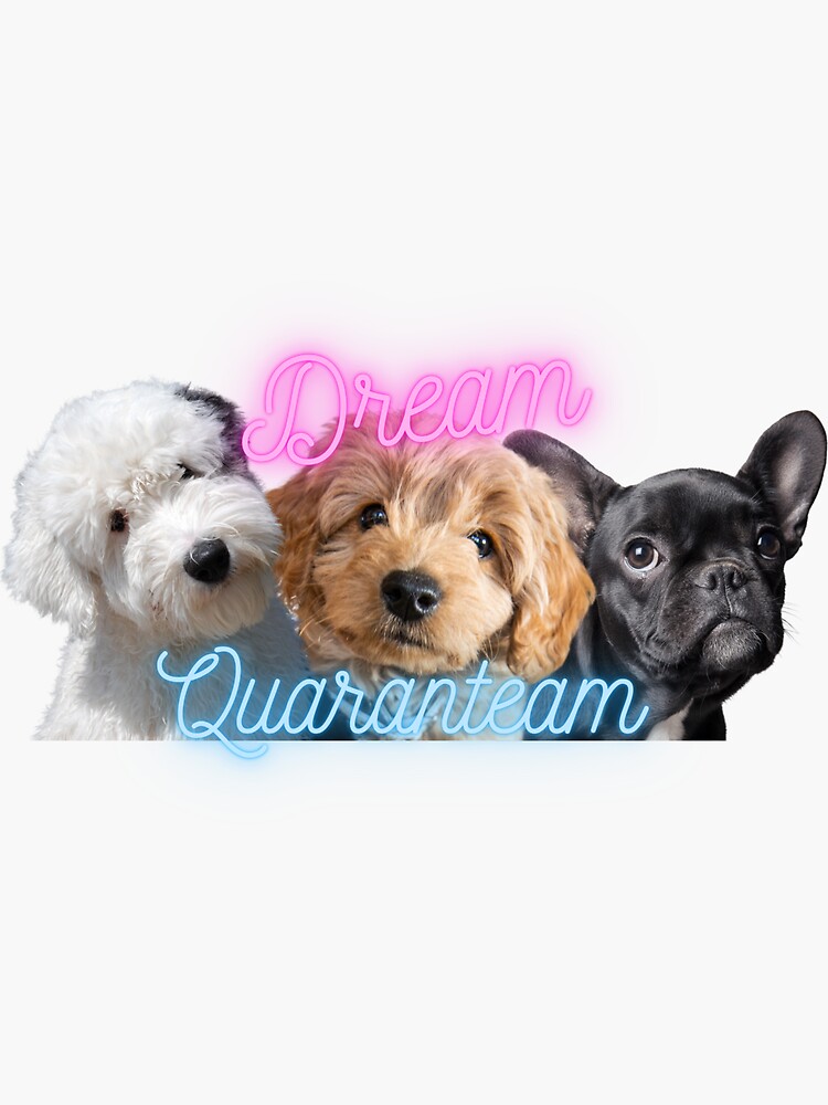 "Dream Quaranteam Puppies T-Shirt" Sticker for Sale by DoodlesDoIt ...