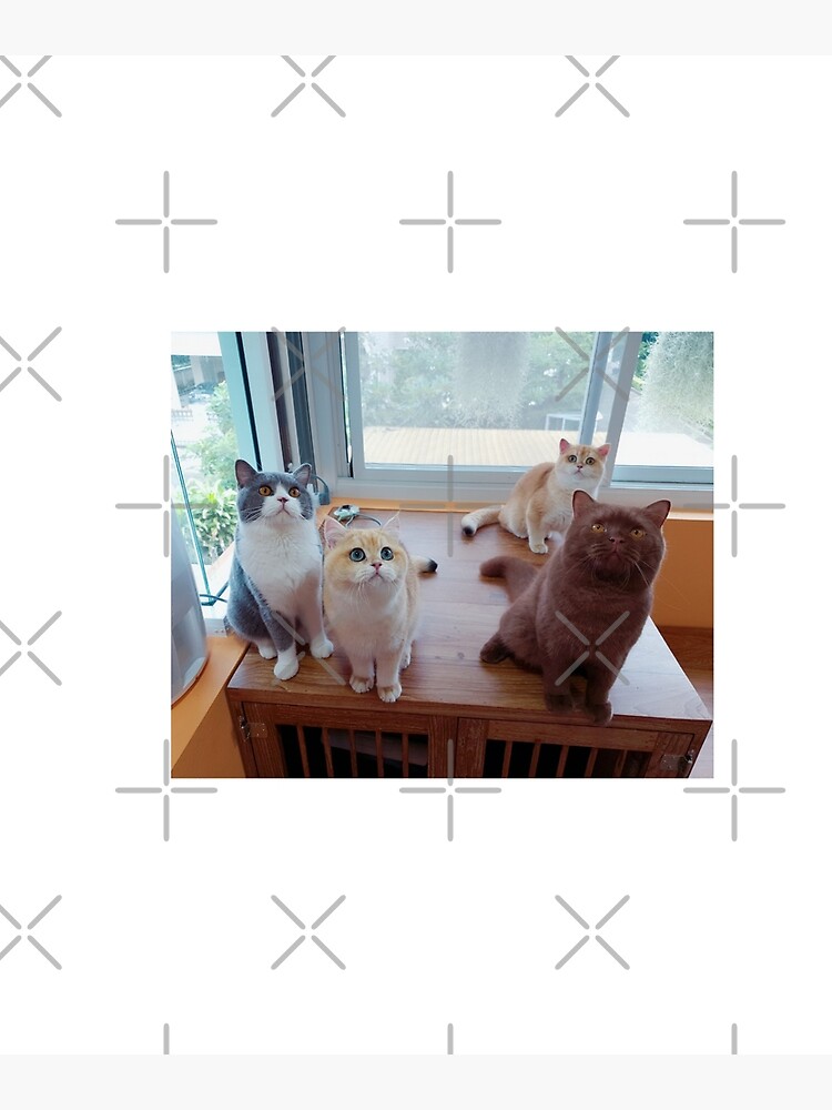 "the cute cats team" Poster by kunasin | Redbubble