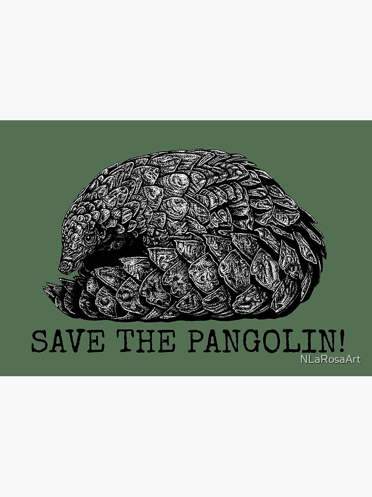"Save the Pangolin! Illustration" Poster for Sale by NLaRosaArt | Redbubble