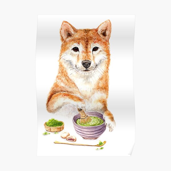 "Shiba Inu Making Matcha Tea" Poster by Goosi | Redbubble