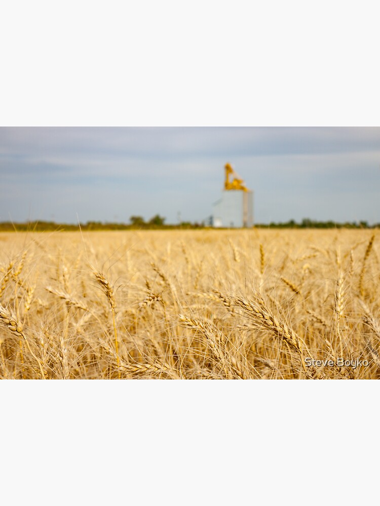 "Wheat Field and Grain Elevator" Sticker by traingeek | Redbubble