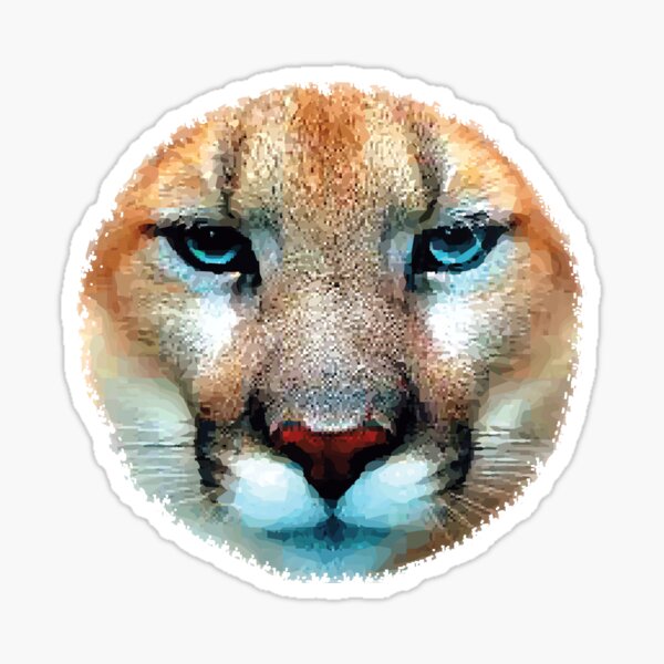 "Cougar, puma, jaguar" Sticker by Hujer | Redbubble