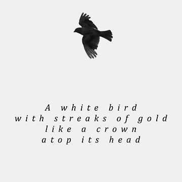 White Bird Quotes 86 Bird Quotes And Sayings About Freedom And More