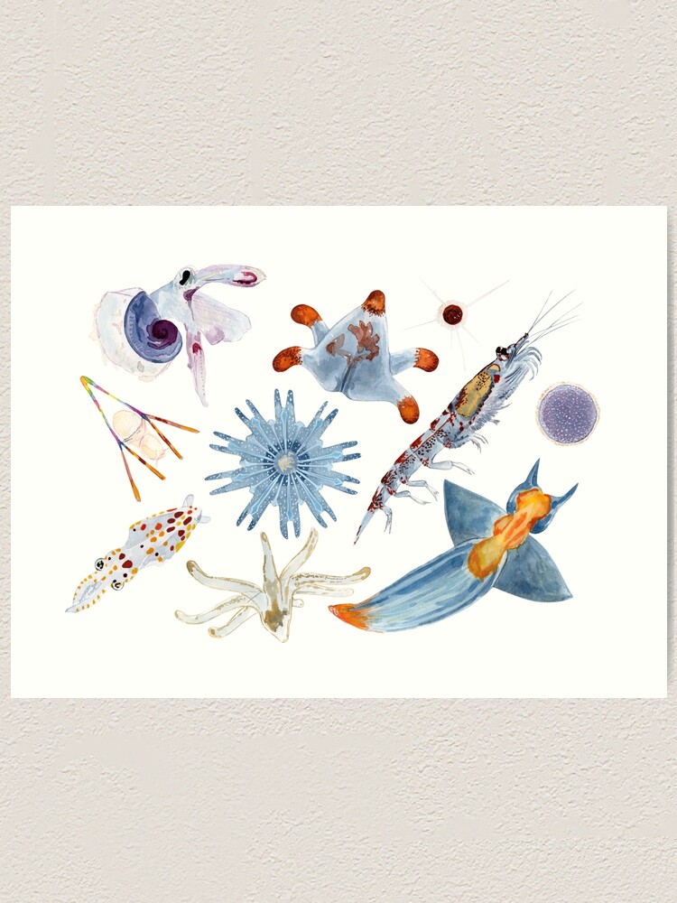 "PLANKTON-zooplankton" Art Print by bananaflamingo | Redbubble