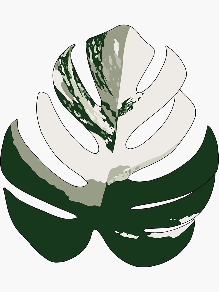 "Monstera Albo Illustration" Sticker for Sale by letteringolivia ...