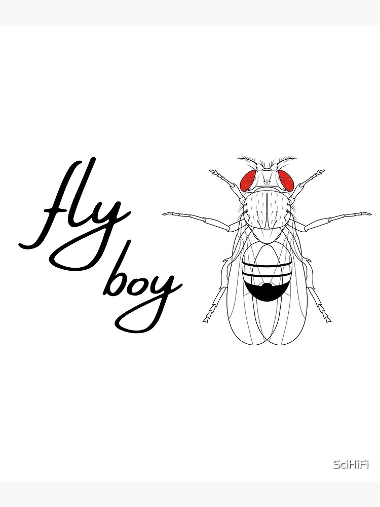 "Fly Boy" Poster for Sale by SciHiFi | Redbubble