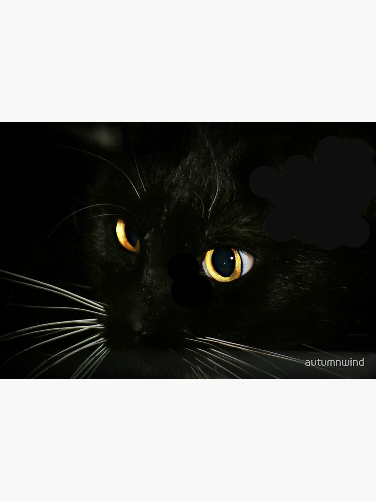 "Please adopt me..." Mask for Sale by autumnwind | Redbubble