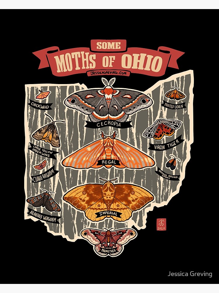 Some Moths Of Ohio Premium Matte Vertical Poster Designed & Sold By ...