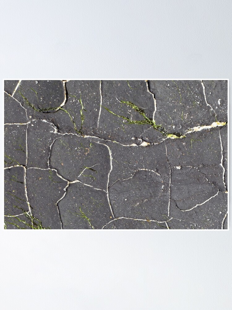 "Texture of a tar mat on a beach from an oil spill in Brittany, France ...