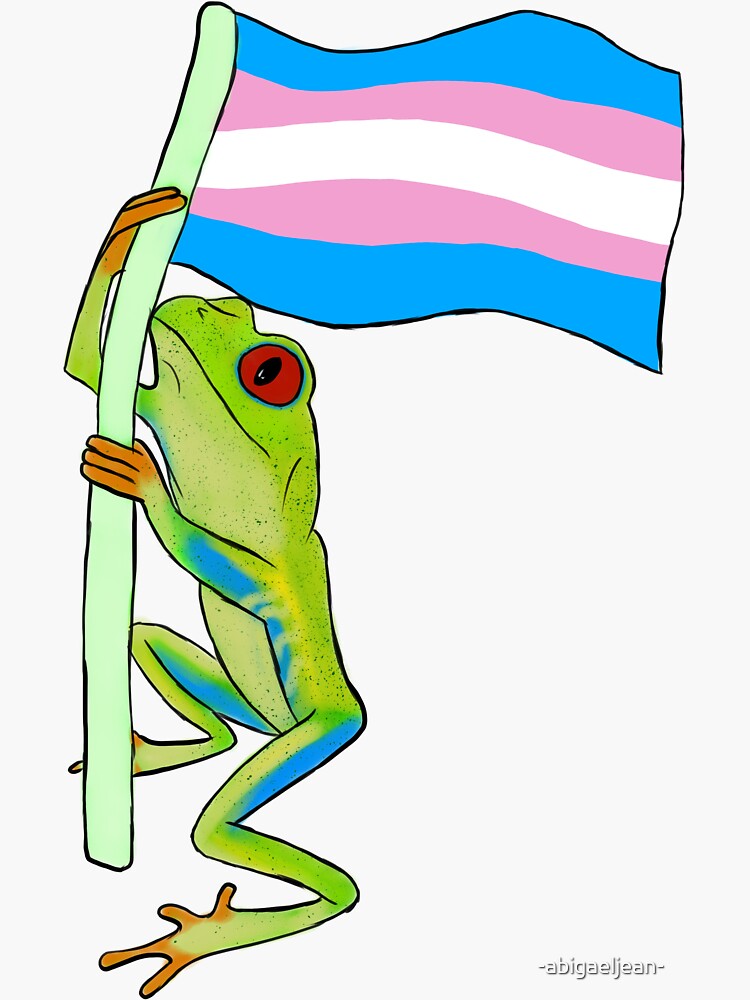 "Pride Frog - Transgender flag" Sticker for Sale by -abigaeljean ...
