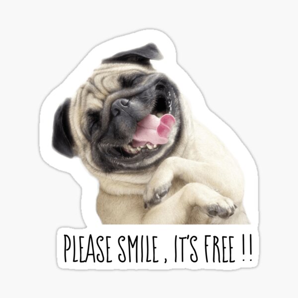 "Smile please " Sticker by Scraped-boy | Redbubble