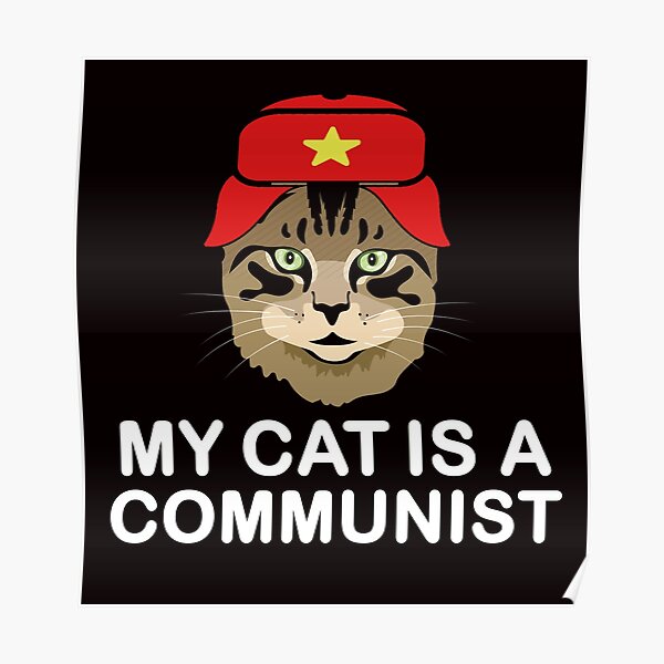 Póster «mi gato es un meme de gato gracioso comunista» de Majesticoo ...