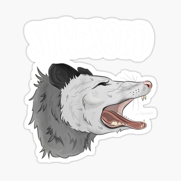 "Stressed Possum Anxiety Disorder Funny Screaming Opossum " Sticker for ...