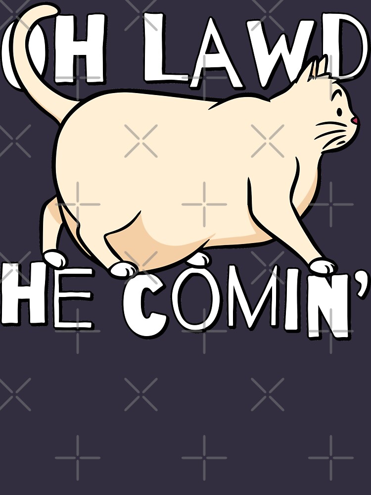 "Oh Lawd He Comin' Cat Meme" Pullover Hoodie for Sale by SeizeTheCat | Redbubble
