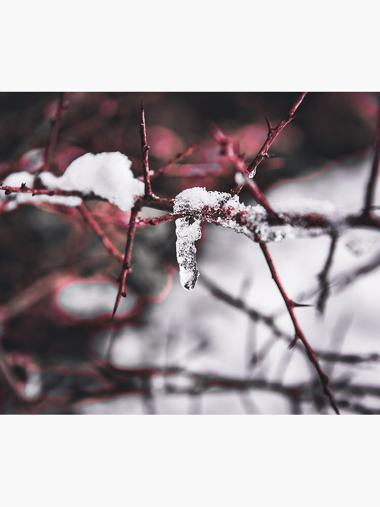 "Sharp Red" Poster by jdgaller | Redbubble