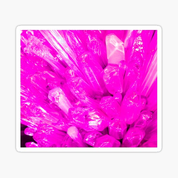 "Pink Chihuly Photograph" Sticker by AlexPhoto | Redbubble