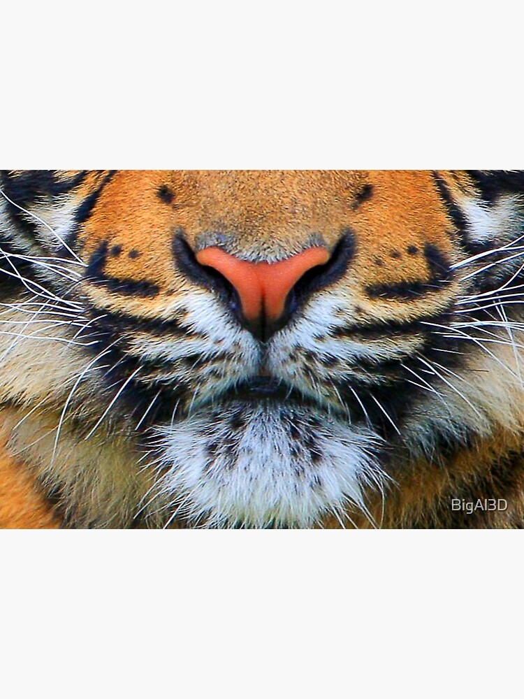 "Wild Tiger Face Mask" Mask for Sale by BigAl3D | Redbubble