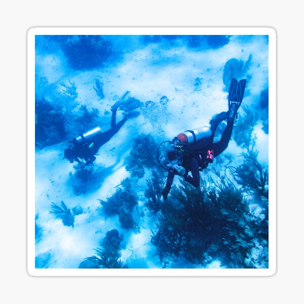 "Diver Down" Sticker for Sale by navy93 | Redbubble