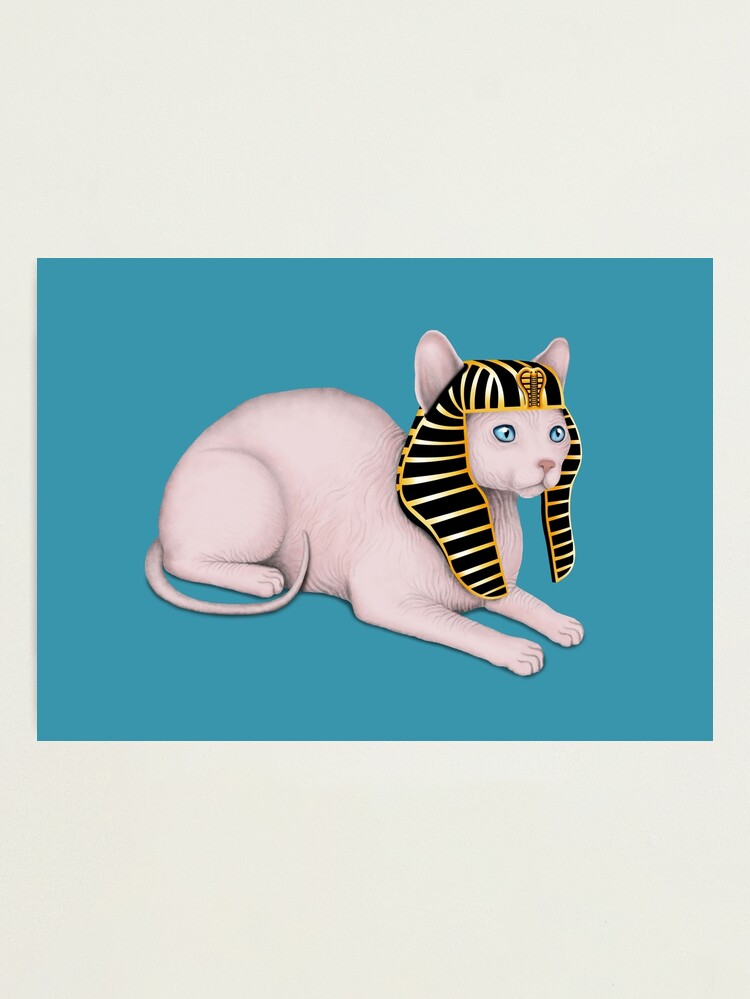 Sphynx Cat With The Pyramids Of Giza Canva Canvas Art Print