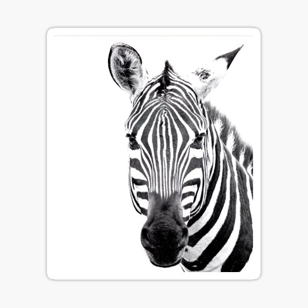 "Zebra" Sticker by click4collage | Redbubble