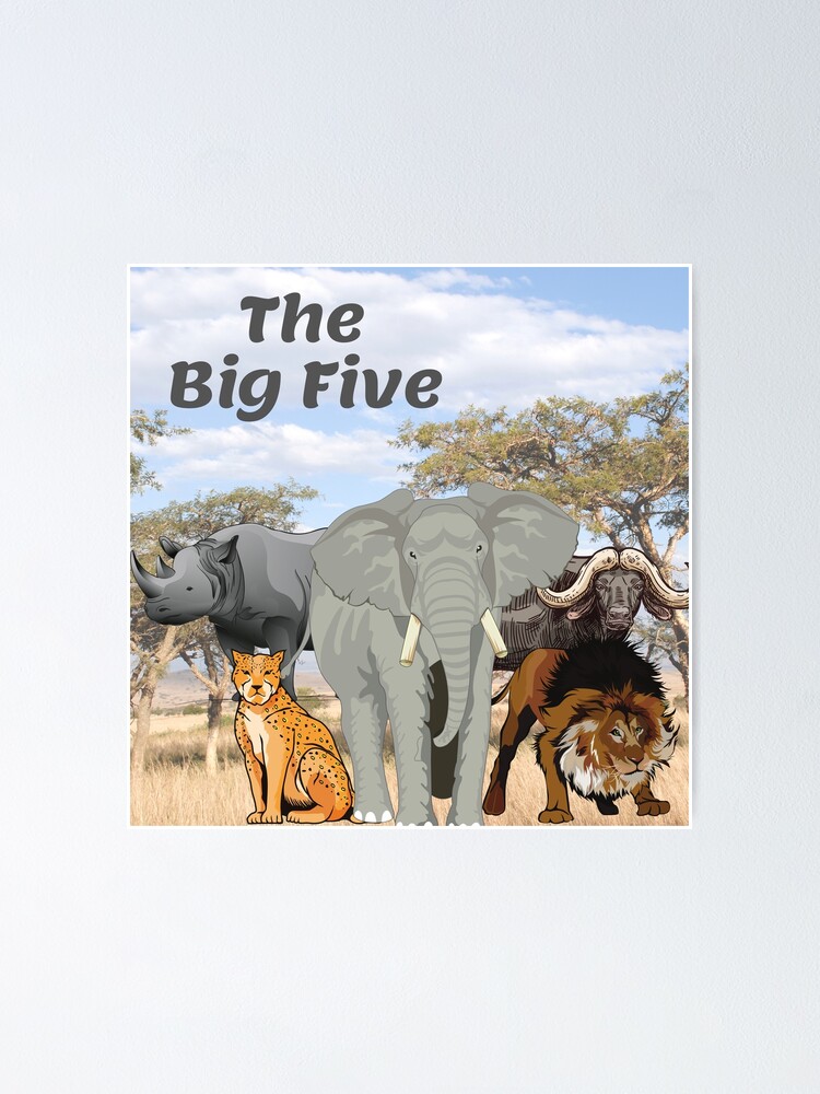 "The Big Five" Poster by OugelShop | Redbubble