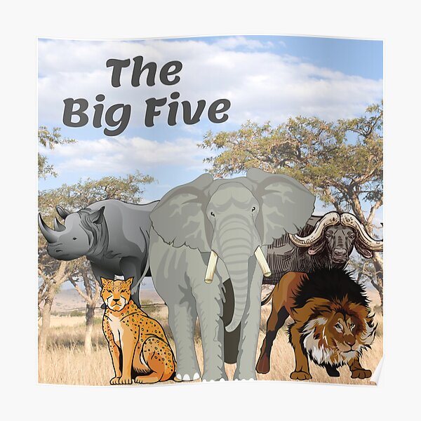"The Big Five" Poster by OugelShop | Redbubble