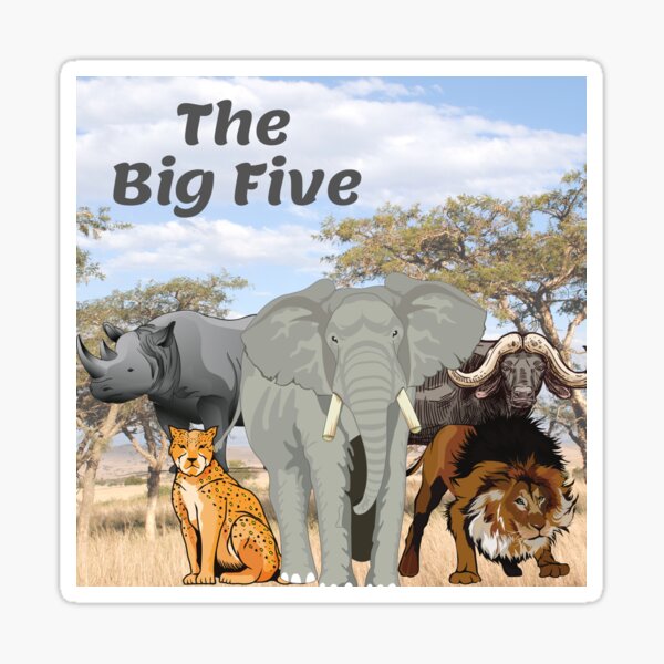 "The Big Five" Sticker for Sale by OugelShop | Redbubble