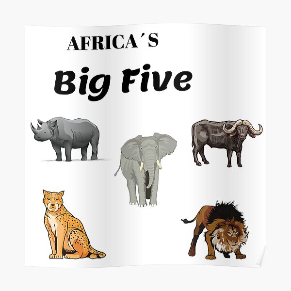 "Africa Big Five" Poster by OugelShop | Redbubble