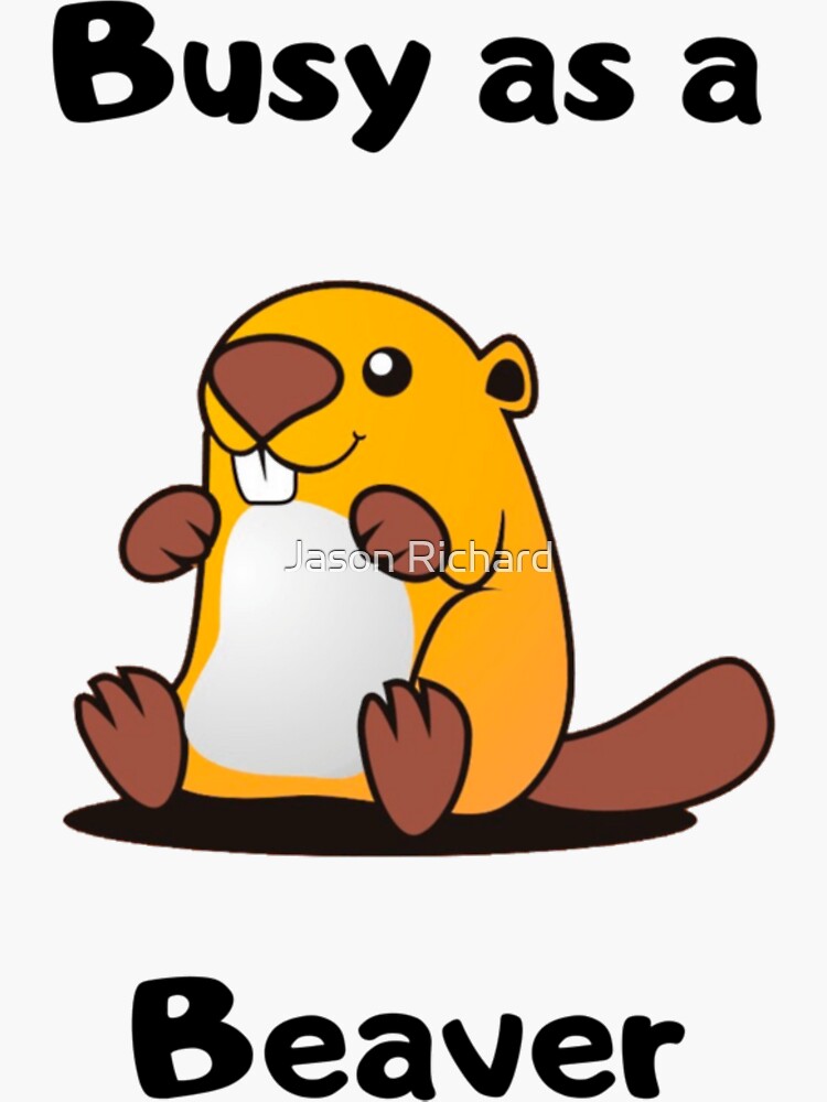 Busy Beaver Memes