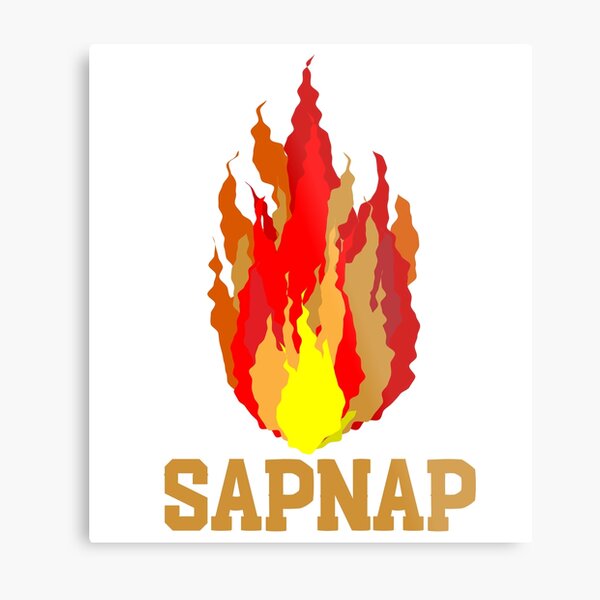 Sapnap Metal Prints | Redbubble