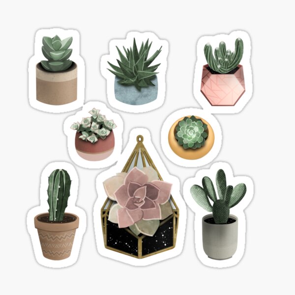 "Painted Succulents and Cacti Stickers" Sticker by katdoesartstuff ...