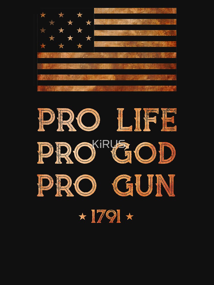 "1791 Pro USA Pro Life Pro God Pro Gun 13 Star Flag - for Right to Bear ...