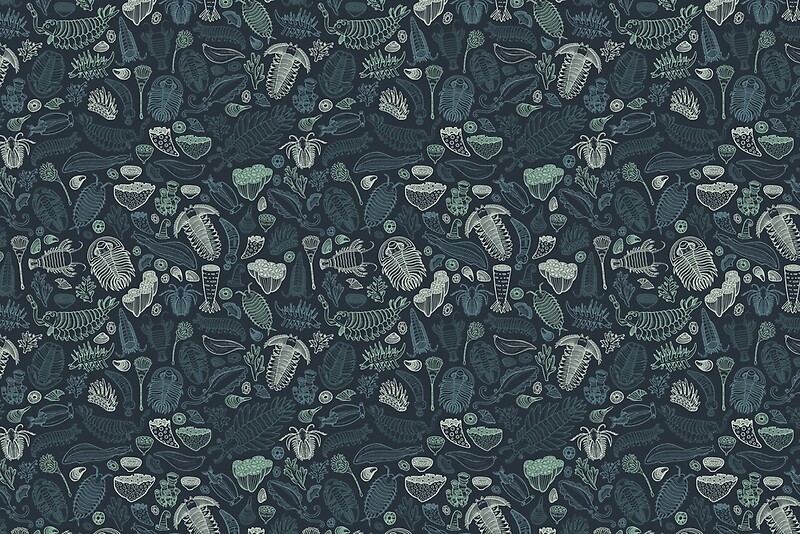 "Studio 252MYA Collaboration: Cambrian Fauna (2020 Reboot)" by ...