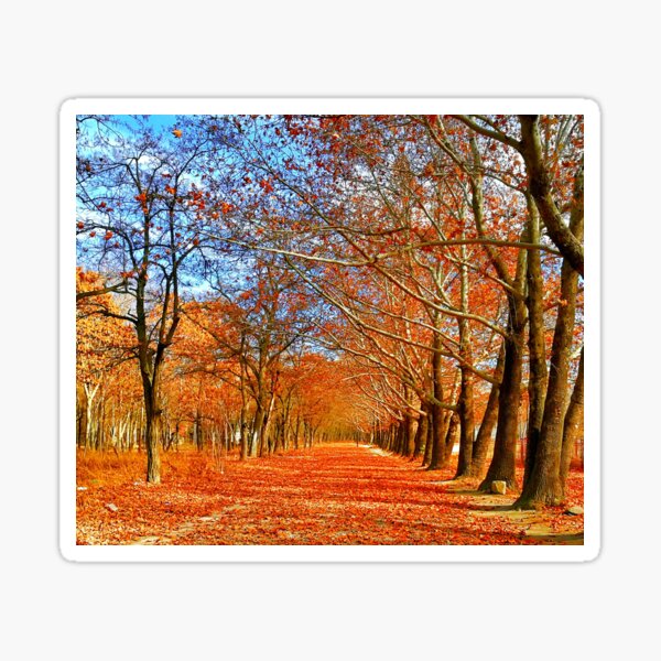 "Autumn Trees" Sticker for Sale by RyderHill | Redbubble